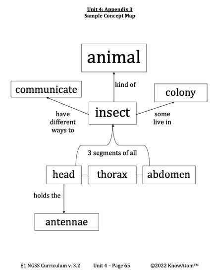 Understanding Ant Behavior and Food | 1st Grade Science Lesson
