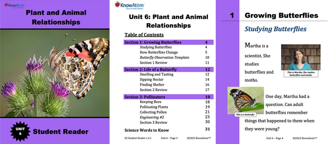 G2U6L1 Butterfly Life Cycle