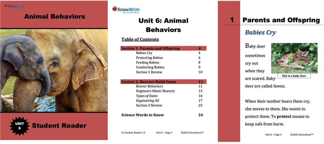 G1U6L2 Engineering Dams