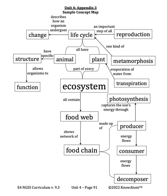 Plant Structures and Transpiration | Grade 4 Science Lessons | KnowAtom