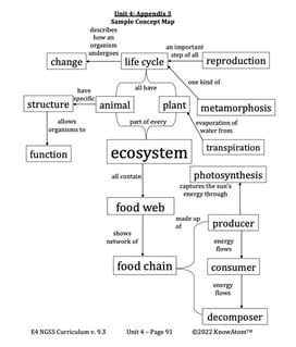 Understanding Energy Flow Through Food Webs | 4th Grade Science
