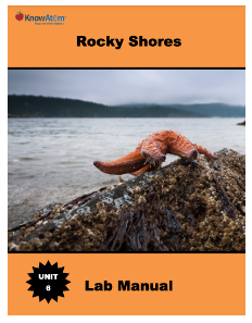 Sea Star Adaptations | Understanding Rocky Shore Ecosystems | KnowAtom