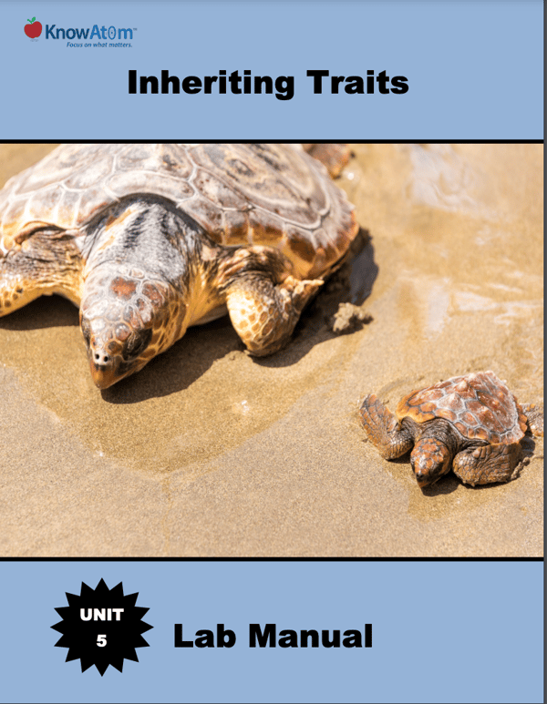 Investigating DNA & Mutations | 8th Grade Science Lessons