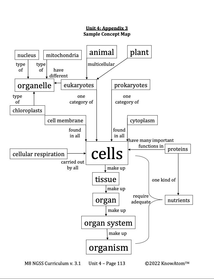Comparing Cells | 8th Grade Science Lessons