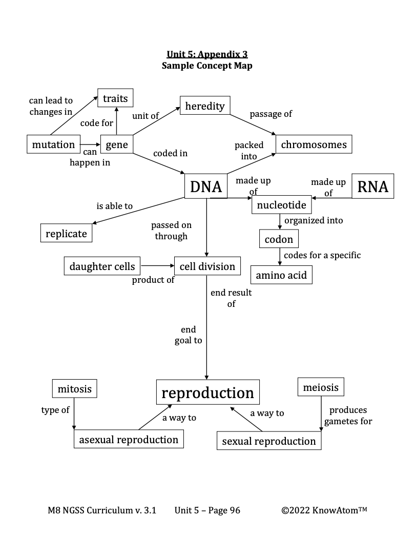 Investigating DNA & Mutations | 8th Grade Science Lessons