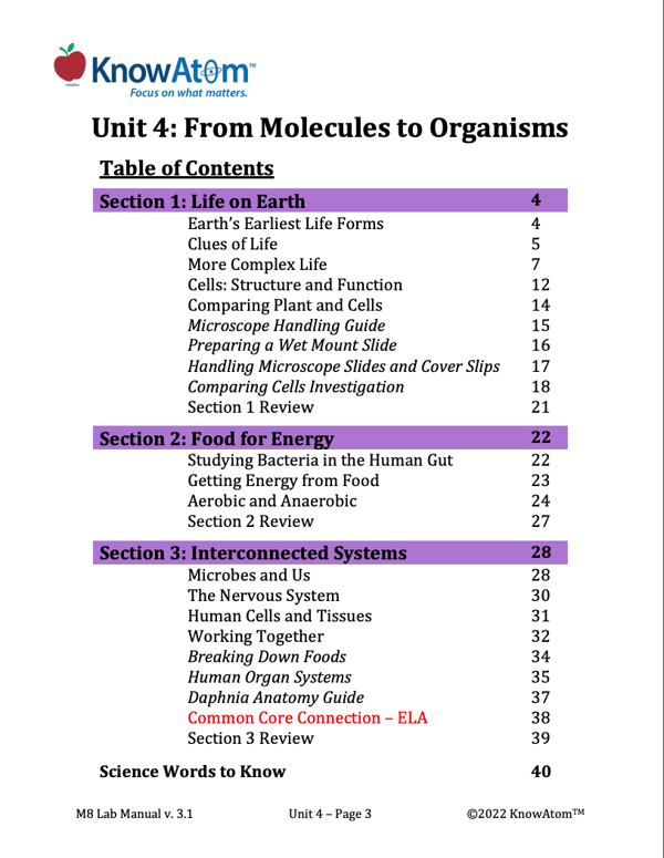 Exploring Cellular Respiration | 8th Grade Science Lessons