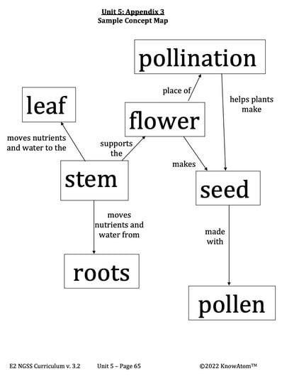 Exploring Flower Structures | Understanding Pollination and Seed ...