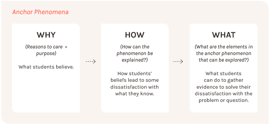 3 Key Features When Evaluating an NGSS-Aligned Science Curriculum