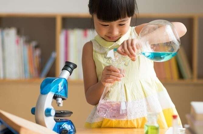 NGSS Disciplinary Core Ideas: An Overview of the Fundamentals