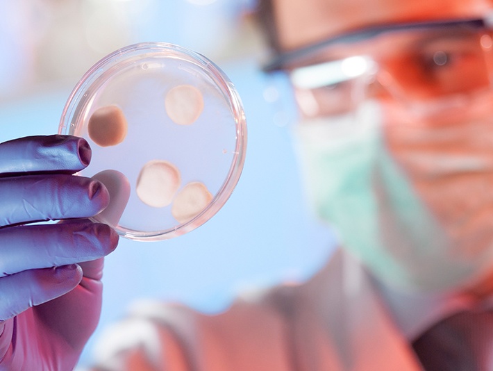 8th Grade Science Curriculum - NGSS | KnowAtom