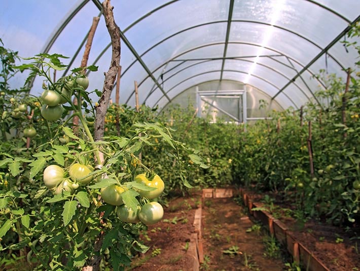 8th Grade Science Curriculum - NGSS | KnowAtom