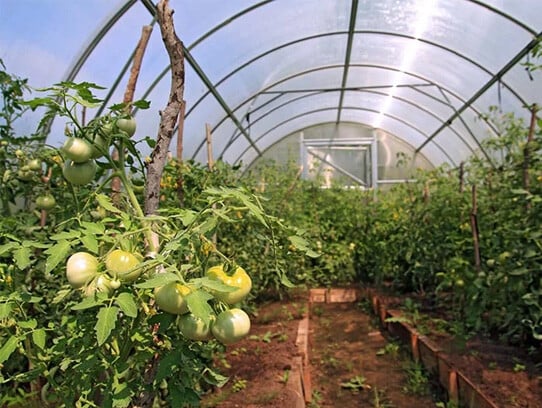 8th Grade Science Curriculum - NGSS | KnowAtom