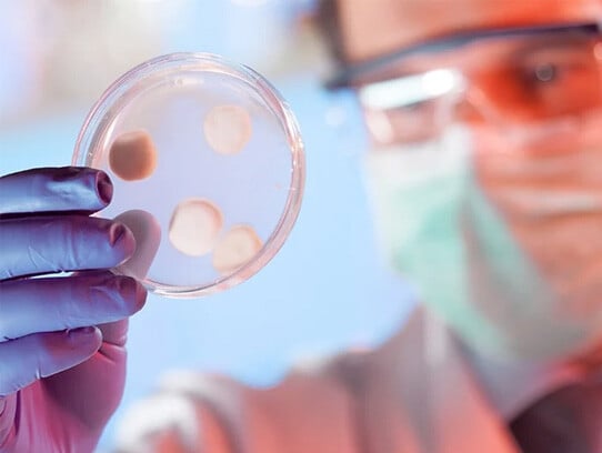 8th Grade Science Curriculum - NGSS | KnowAtom