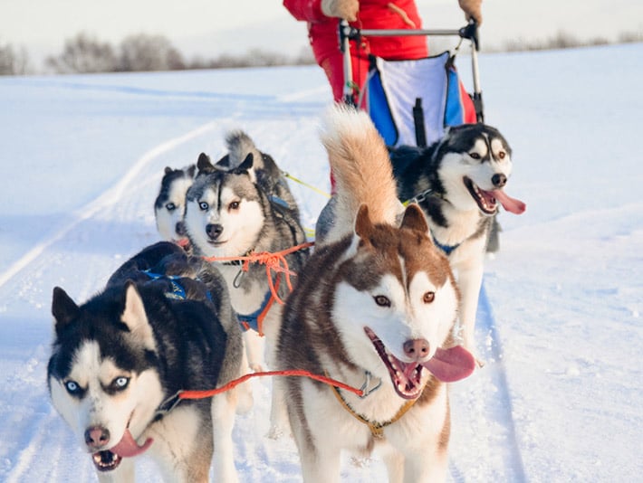 NGSS 5th Grade - STEM Curriculum | KnowAtom