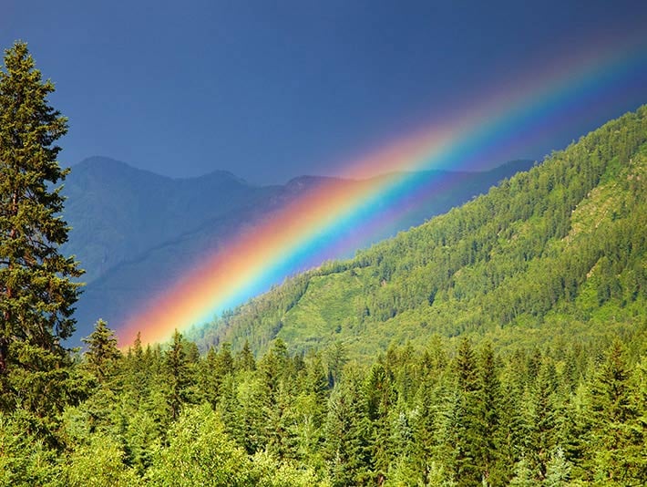 NGSS 3rd Grade - STEM Curriculum | KnowAtom