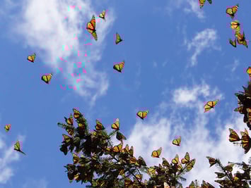 NGSS 3rd Grade - STEM Curriculum | KnowAtom