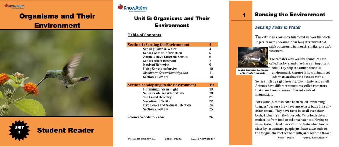 G4U5L1 Mealworm Senses