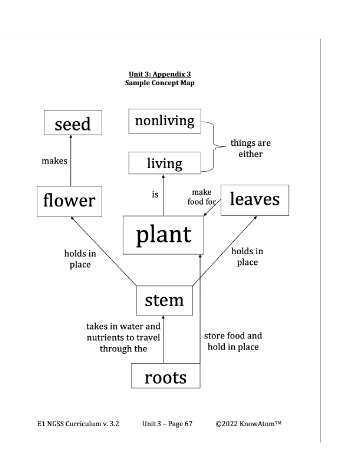 Exploring Plant Structures & Life Cycle | 1st Grade Science Lesson