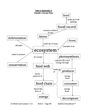 Exploring Fossil Organisms & Their Environment | 3rd Grade Science