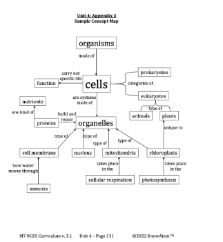 Food and Energy Flow in Cells | Understanding Photosynthesis and ...