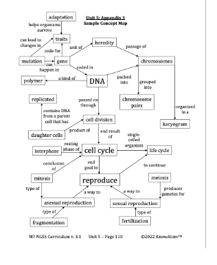 Understanding Mitosis in Animal & Plant Cells | 7th Grade Science