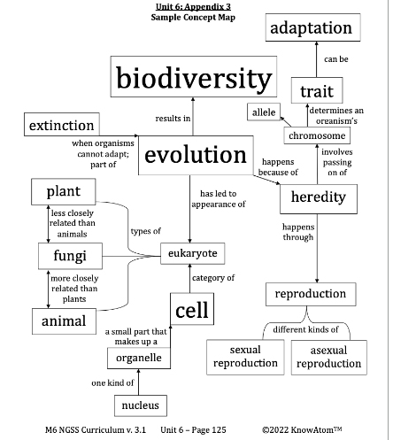 Diversity of Life on Earth | Fossils and Evolution Insights | KnowAtom