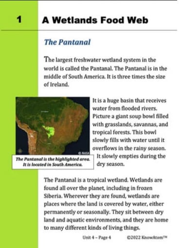 Understanding Food Webs in Wetlands | NGSS Aligned Science Curriculum ...