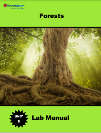 Exploring Photosynthesis | 6th Grade Science Lessons