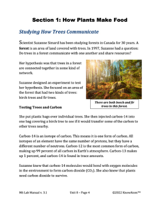 Exploring Photosynthesis | 6th Grade Science Lessons