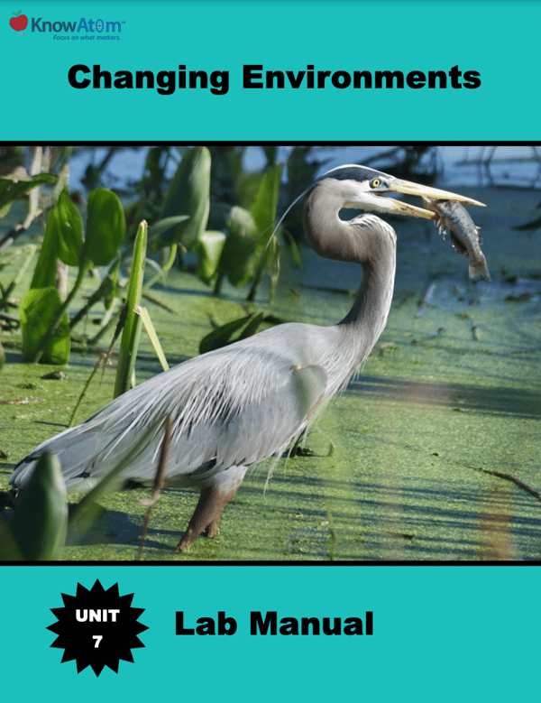 Exploring Photosynthesis & Oil Spills | 8th Grade Science Lessons