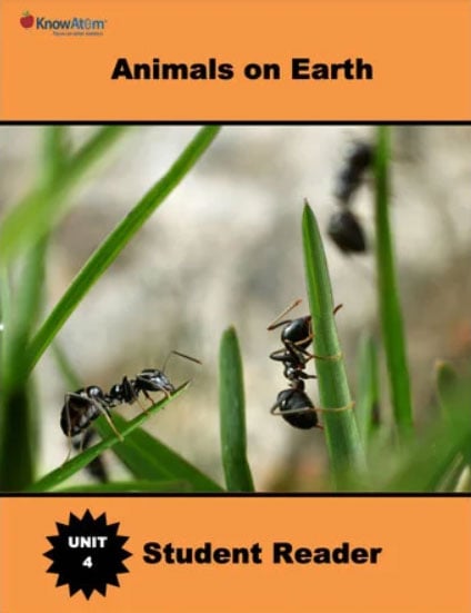 Insect Anatomy | Structure and Function | KnowAtom