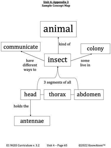 Insect Anatomy - Structure and Function | 1st Grade Science Lesson
