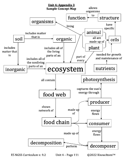 Considering Energy & Matter in Food Webs | 5th Grade Science Lessons