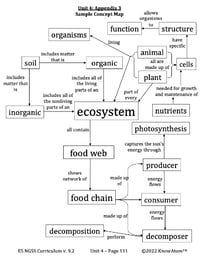 Discovering Decomposition | 5th Grade Science Lessons