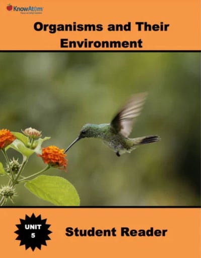 Understanding Mealworm Senses | Science Curriculum for Grade 4 | KnowAtom