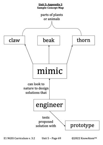 Investigating Bird Beak Structure & Function | 1st Grade Science