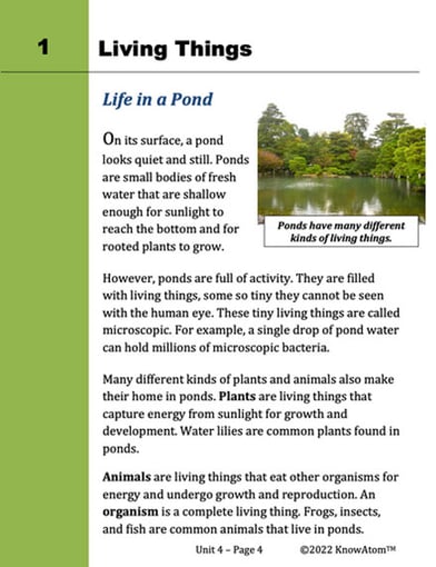 Plant and Animal Cells | Understanding Life at a Cellular Level | KnowAtom