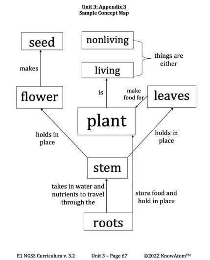Distinguishing Living and Nonliving Things | 1st Grade Science Lessons